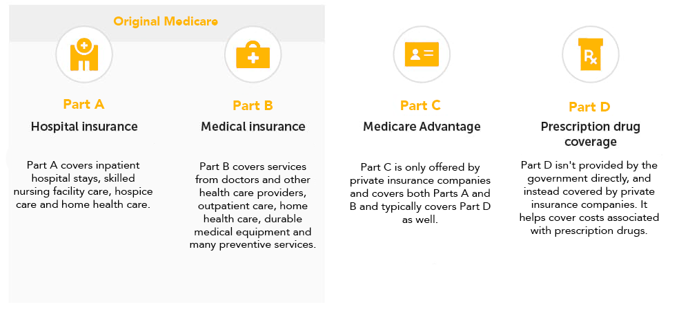 Navigating Medicare | WellSense Health Plan